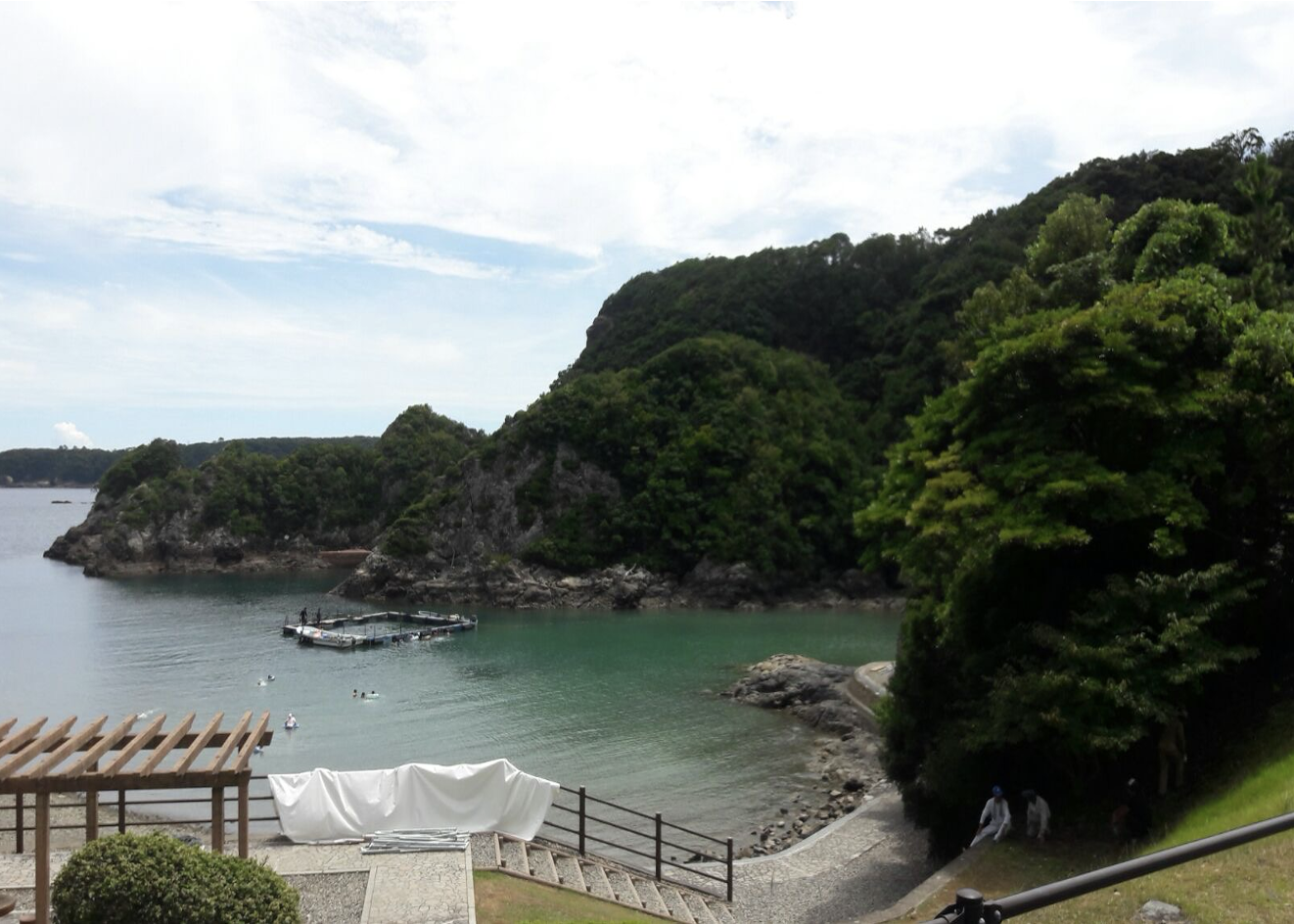 Whaling activities have resumed in Iceland and Japan, and the world ...